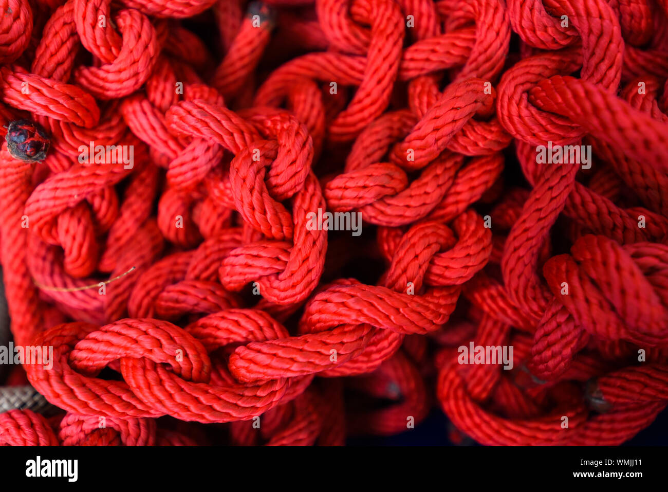 Red ropes hi-res stock photography and images - Alamy