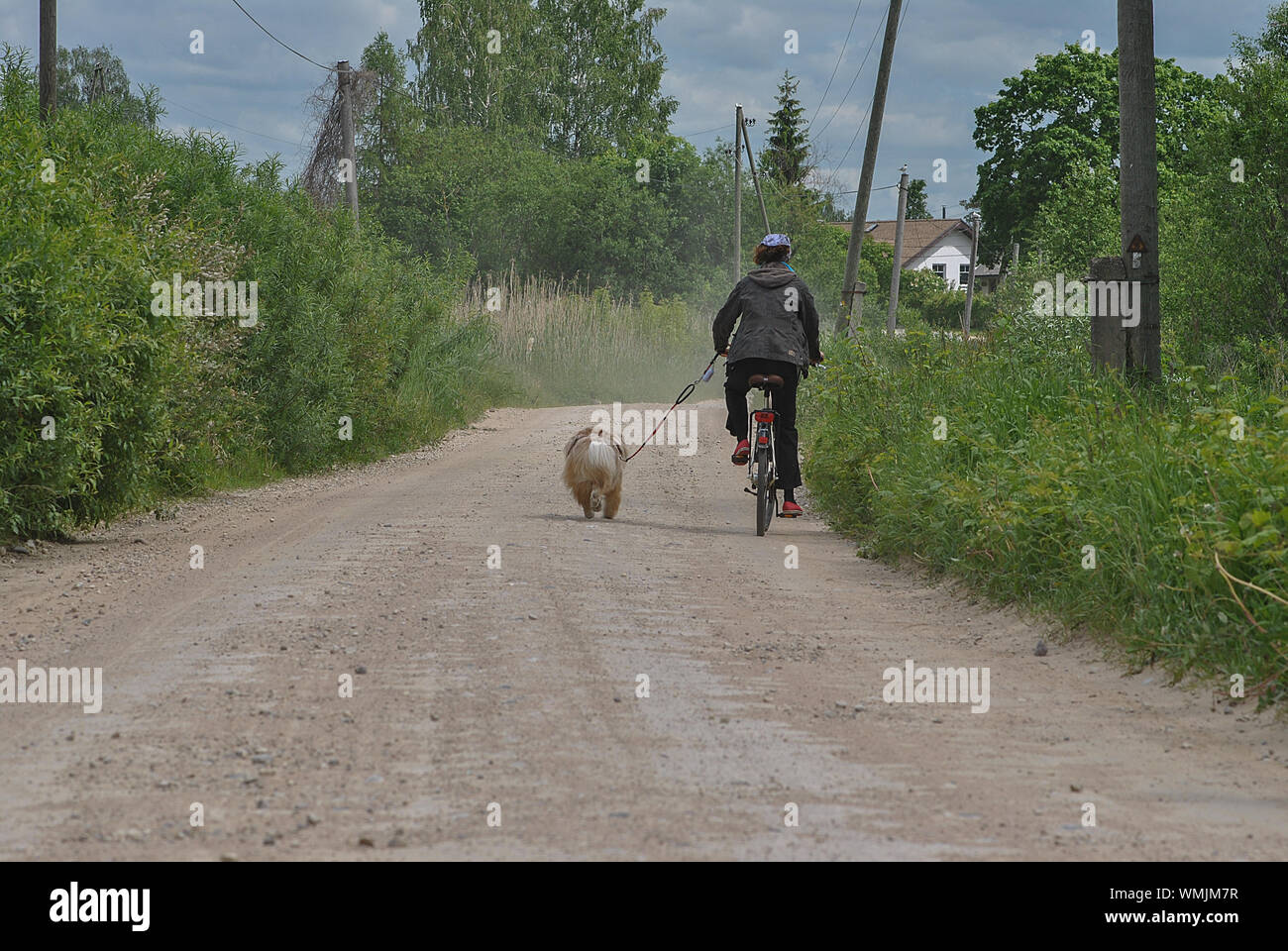 Dog Riding Bicycle High Resolution Stock Photography and Images - Alamy