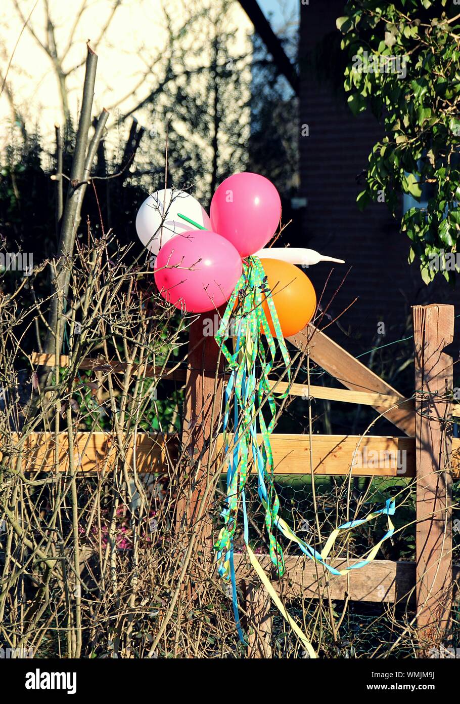 Hanged balloons hi-res stock photography and images - Alamy