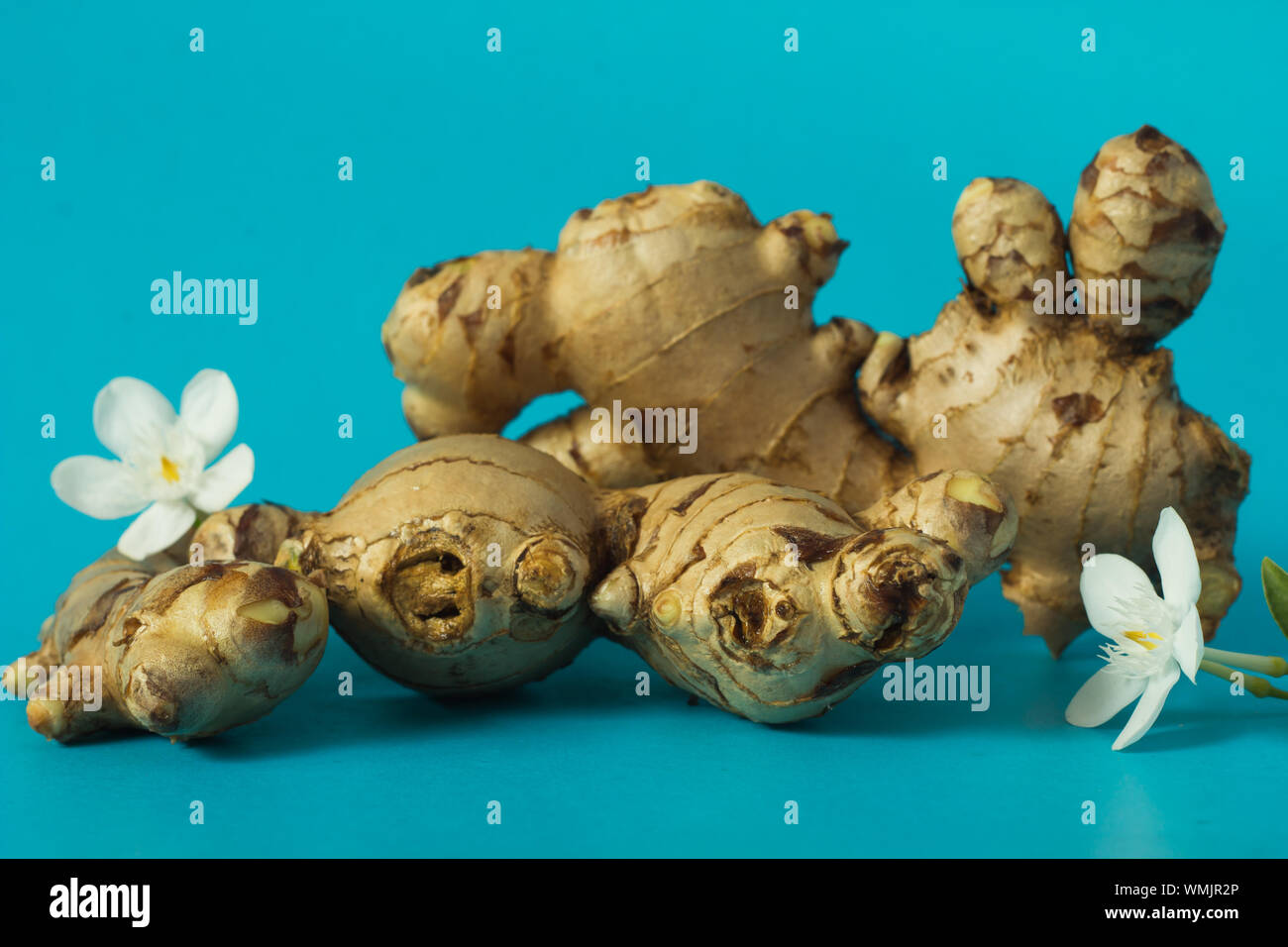 White and ginger hi-res stock photography and images - Alamy