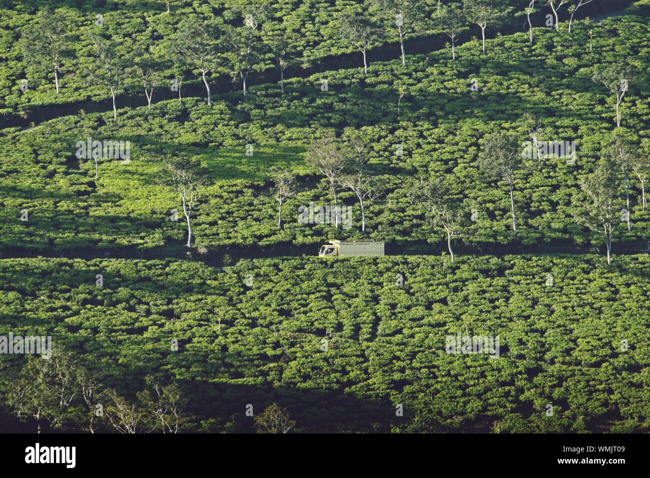 Truck elevated road landscape hi-res stock photography and images - Alamy