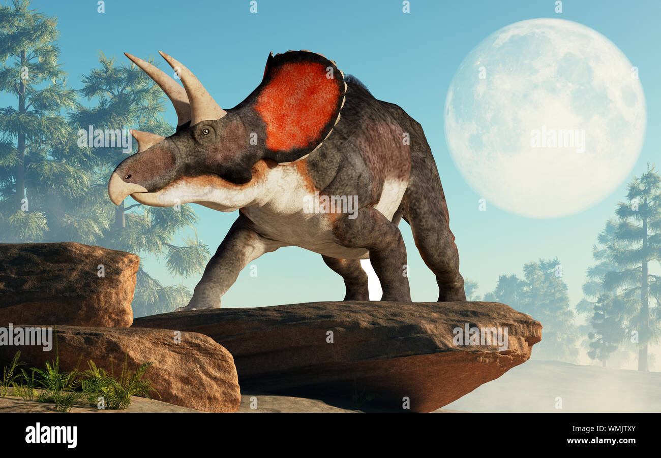 Triceratops was ceratopsian dinosaur that was a frilled and horned ...