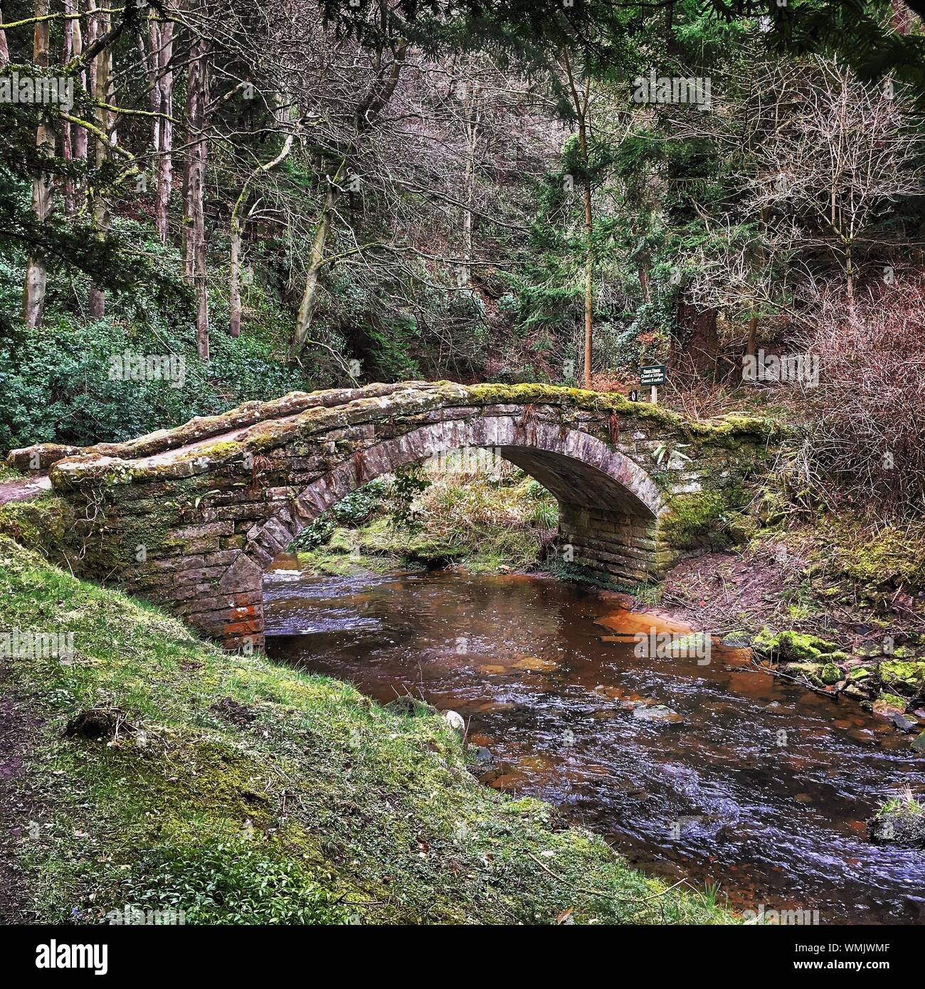 Bridge stream forest hi-res stock photography and images - Alamy