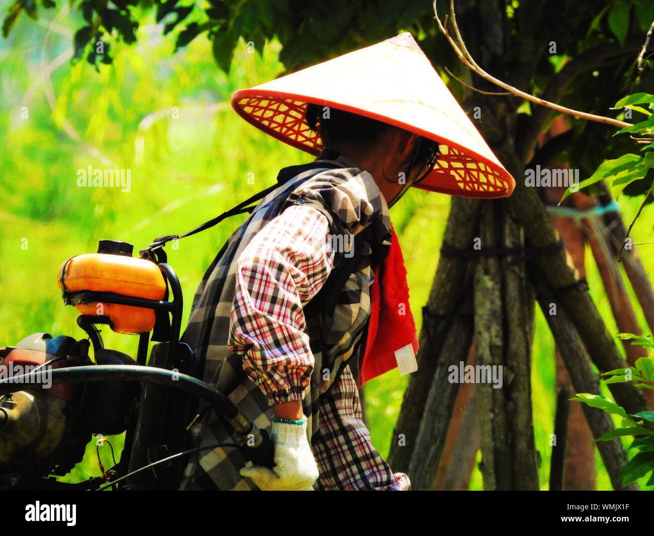 Asian man in conical hat hi-res stock photography and images - Alamy