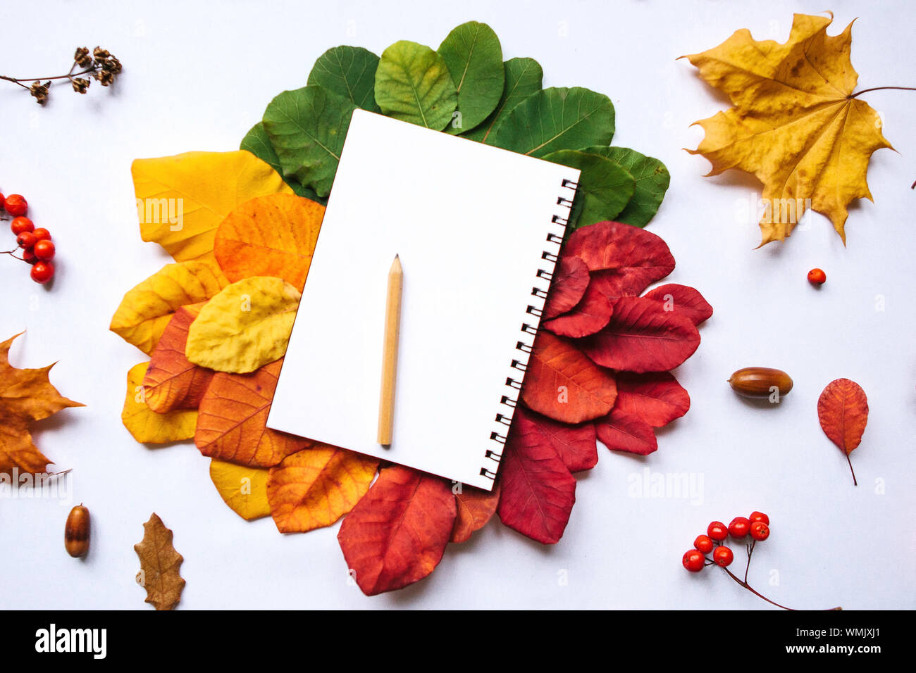 Empty notepad for writing on an autumn background of colored leaves ...