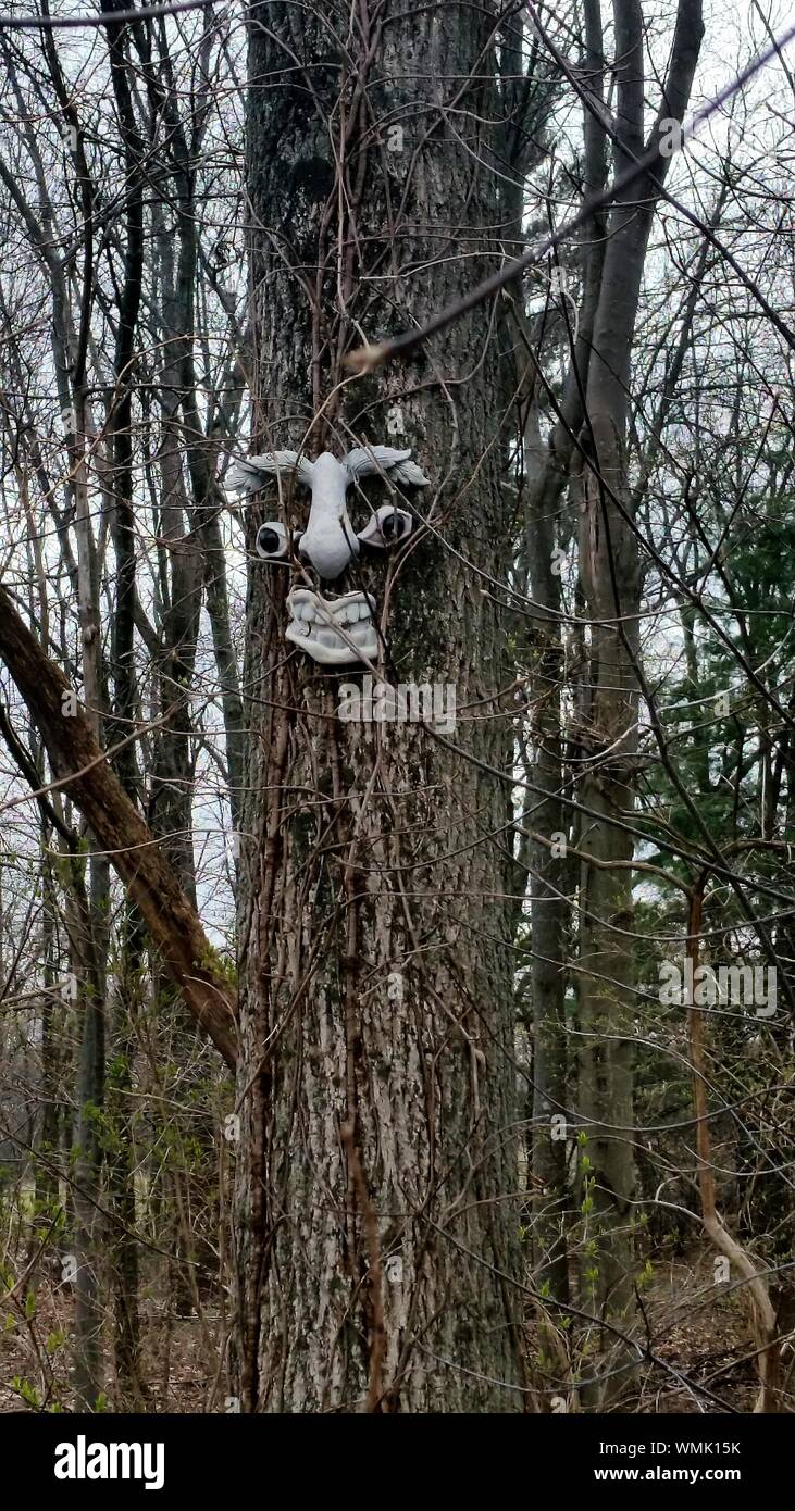 Anthropomorphic tree High Resolution Stock Photography and Images - Alamy