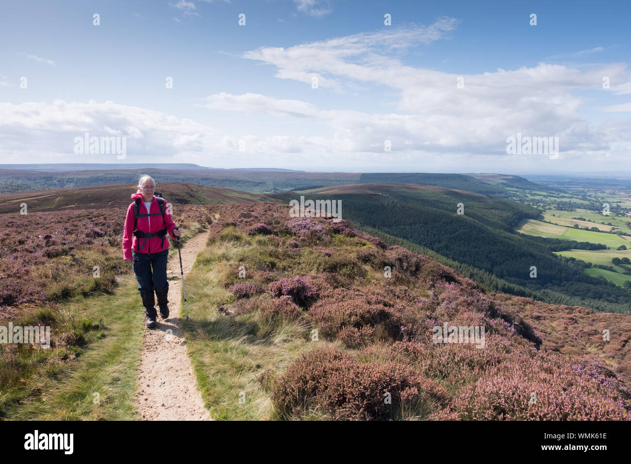Carlton Moor High Resolution Stock Photography and Images - Alamy