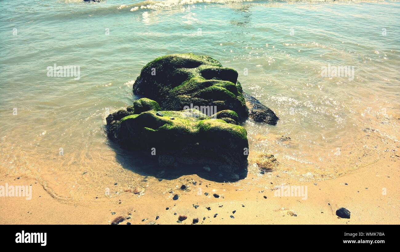 Snake on beach hi-res stock photography and images - Alamy