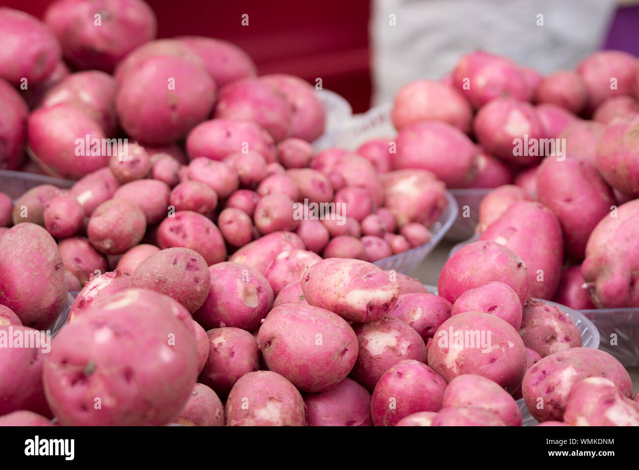 Red potatoes hi-res stock photography and images - Alamy