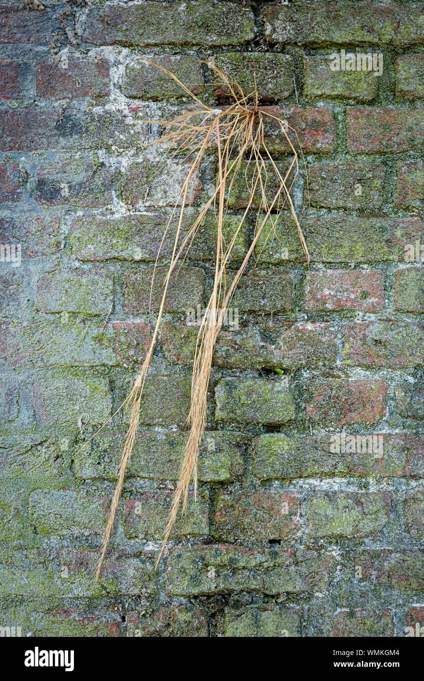 The old remnants of the harbour of Antwerp Stock Photo - Alamy