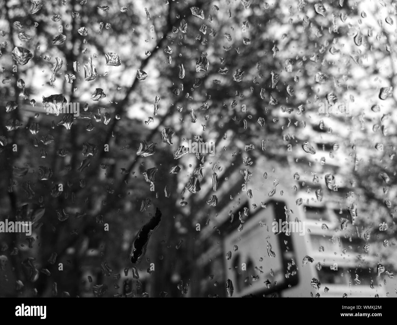 Dripping wet Black and White Stock Photos & Images - Alamy