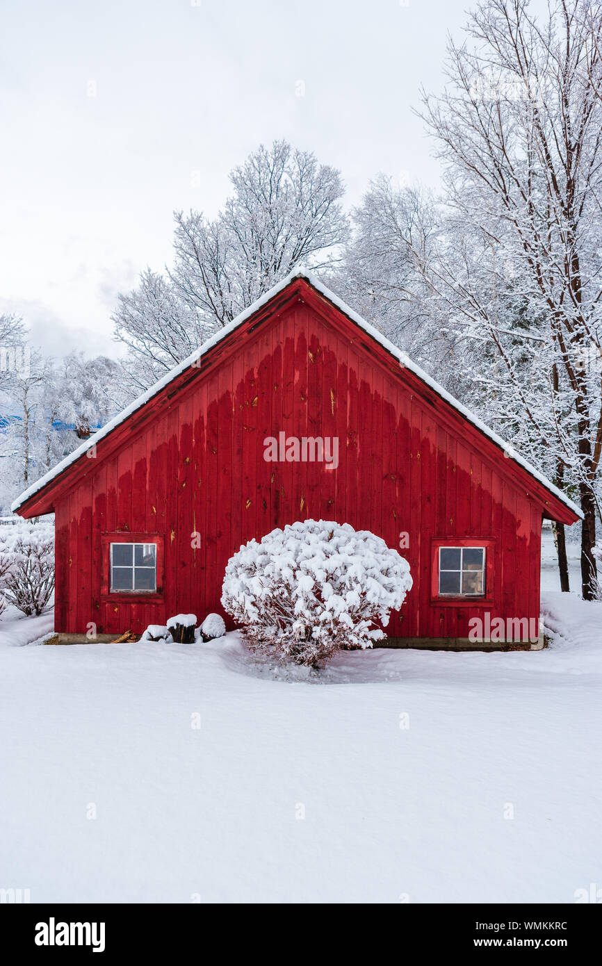 Red barn during winter with snow, Stowe, Vermont, USA Stock Photo - Alamy