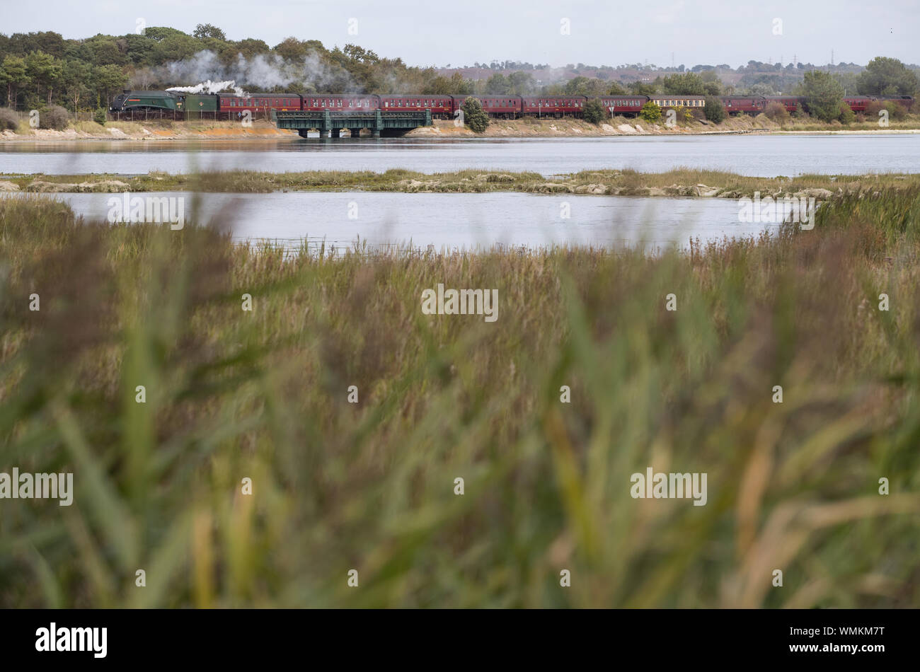 The Dorset Coast Express, pulled by LNER Class 4 steam locomotive Union ...