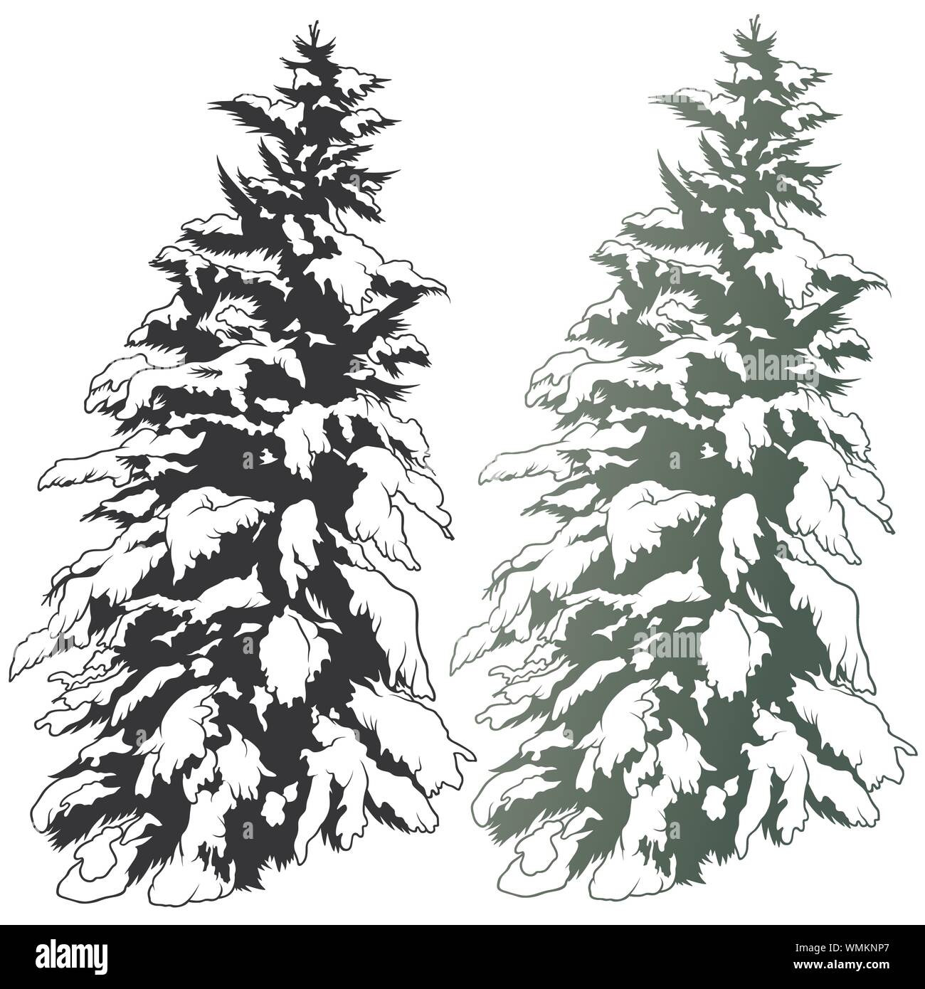 Conifer clipart Stock Vector Images - Alamy