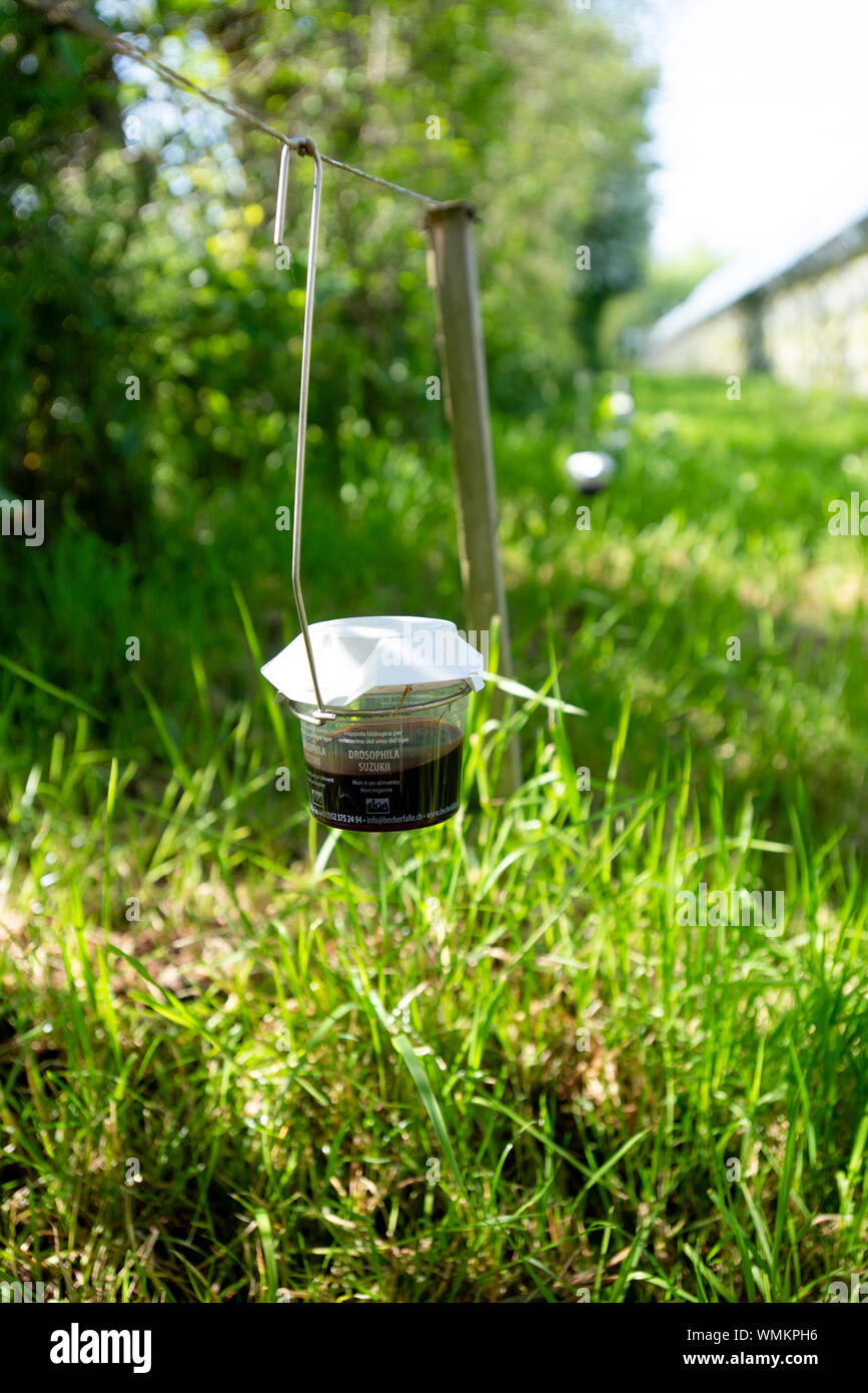 Monitor traps on farm UK Stock Photo - Alamy