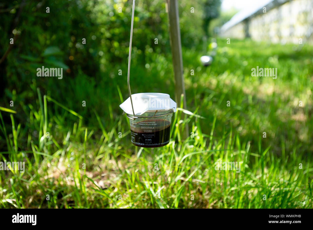 Monitor traps hi-res stock photography and images - Alamy