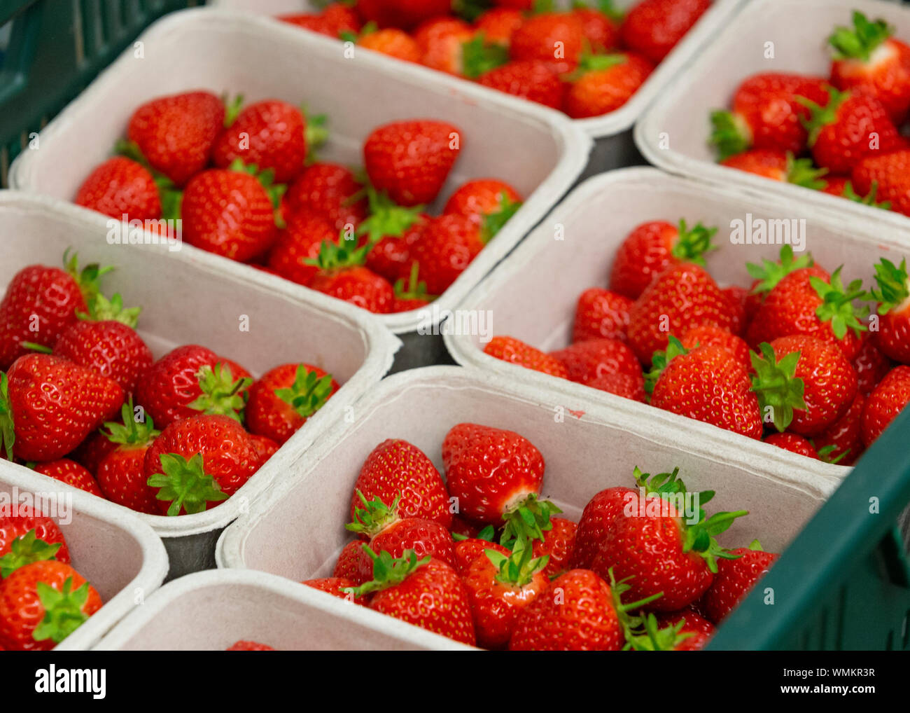 Packing punnet hi-res stock photography and images - Alamy