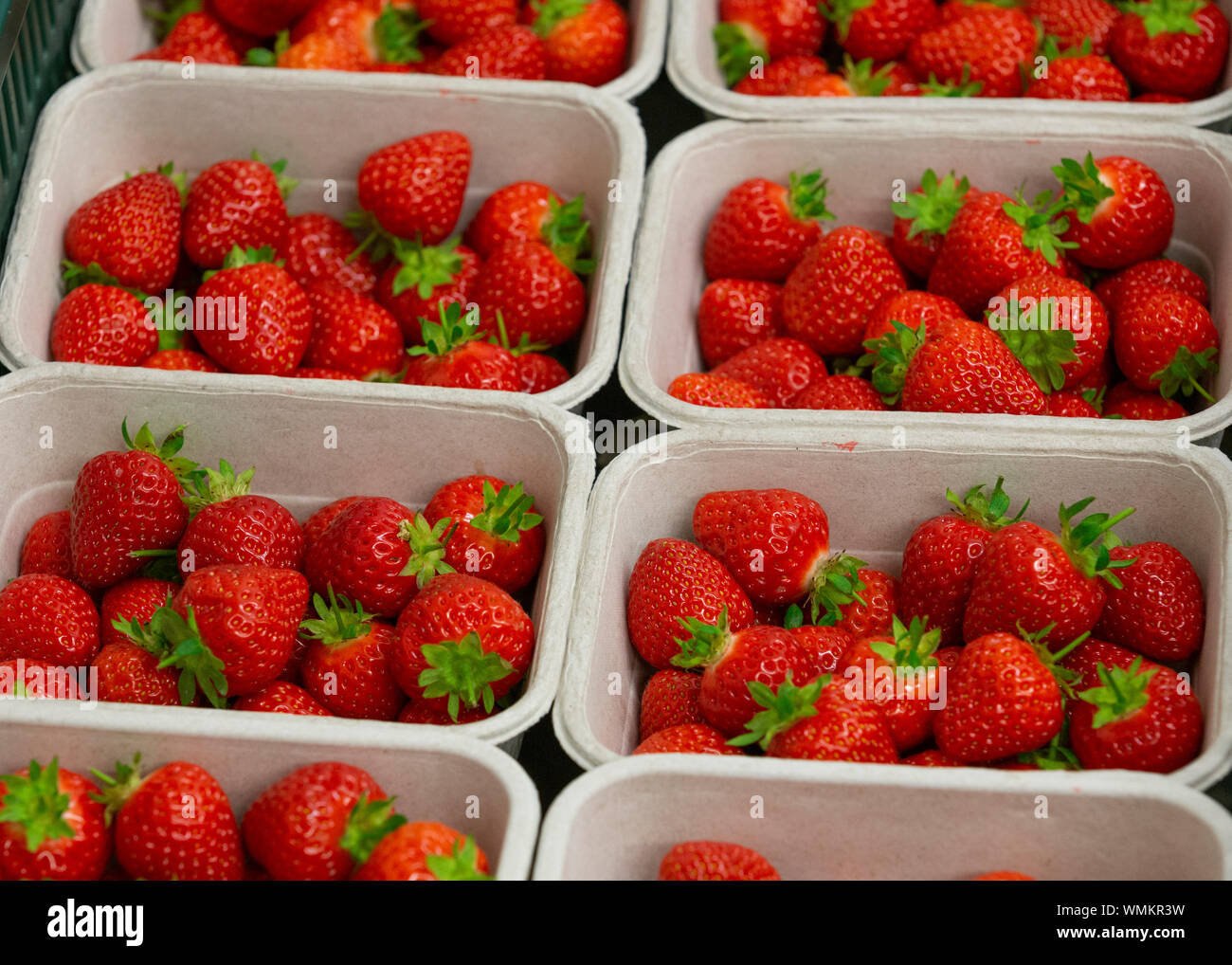 Packing strawberry punnets hi-res stock photography and images - Alamy