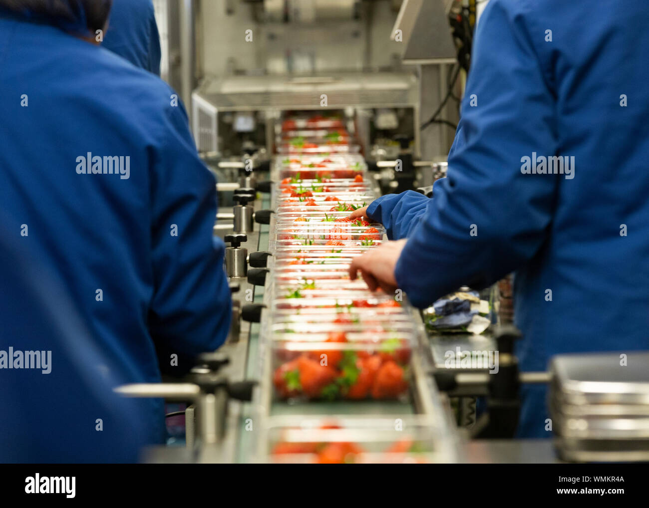 British strawberry industry hi-res stock photography and images - Alamy