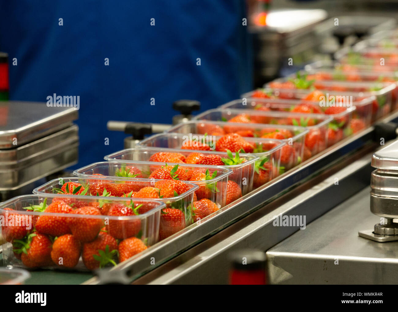 British strawberry industry hi-res stock photography and images - Alamy
