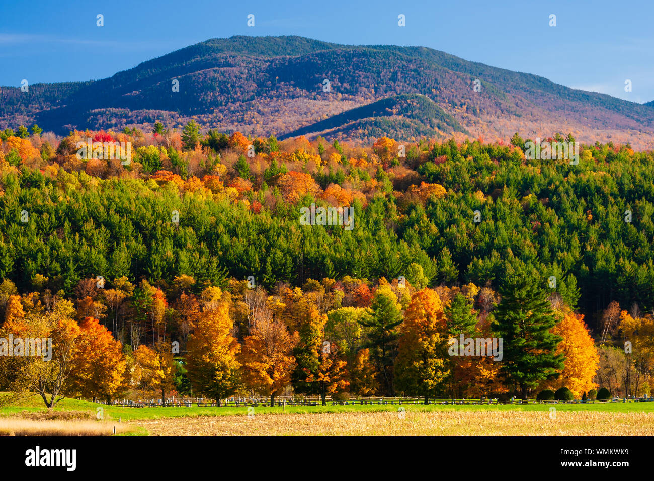Fall foliage mountain range, Stowe Vermont, USA Stock Photo - Alamy