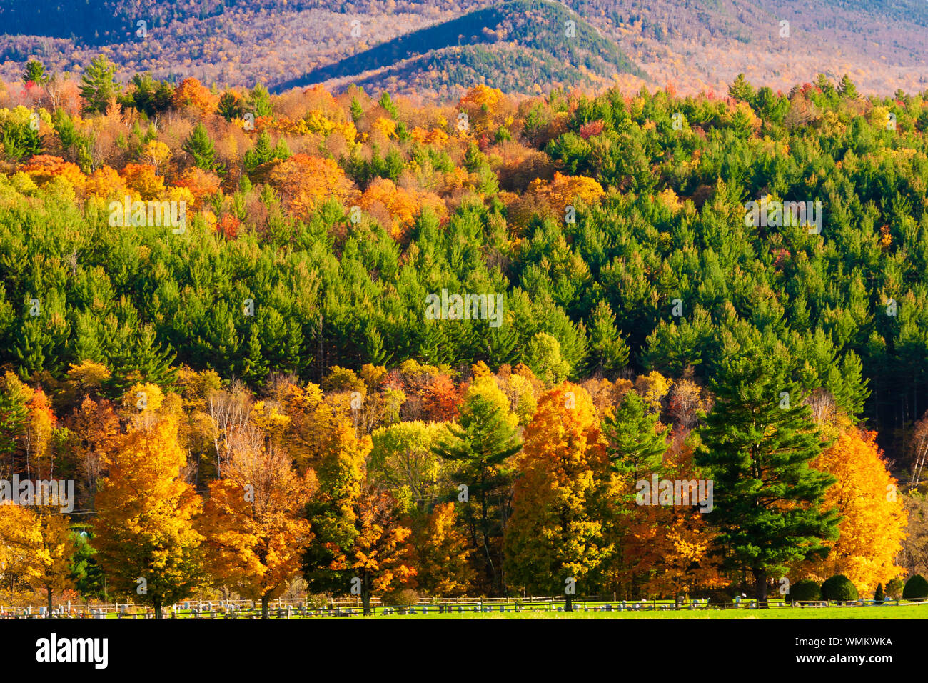 Fall foliage mountain range, Stowe Vermont, USA Stock Photo - Alamy