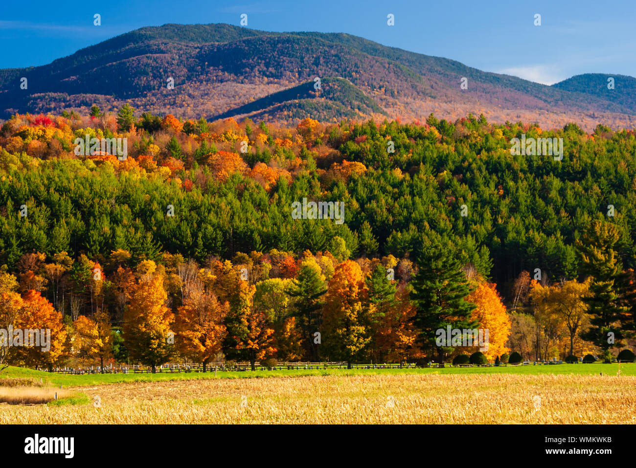 Fall foliage mountain range, Stowe Vermont, USA Stock Photo - Alamy