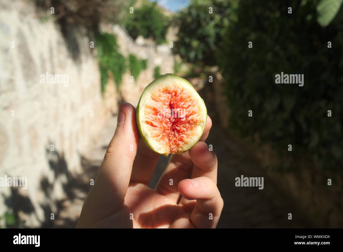 Man eating fig hi-res stock photography and images - Alamy