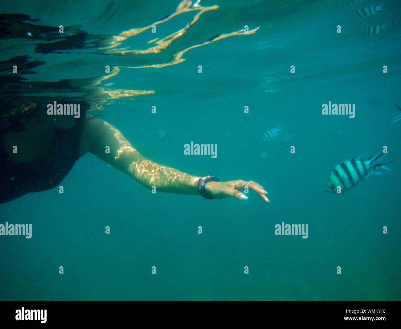 Hand reaching underwater hi-res stock photography and images - Alamy