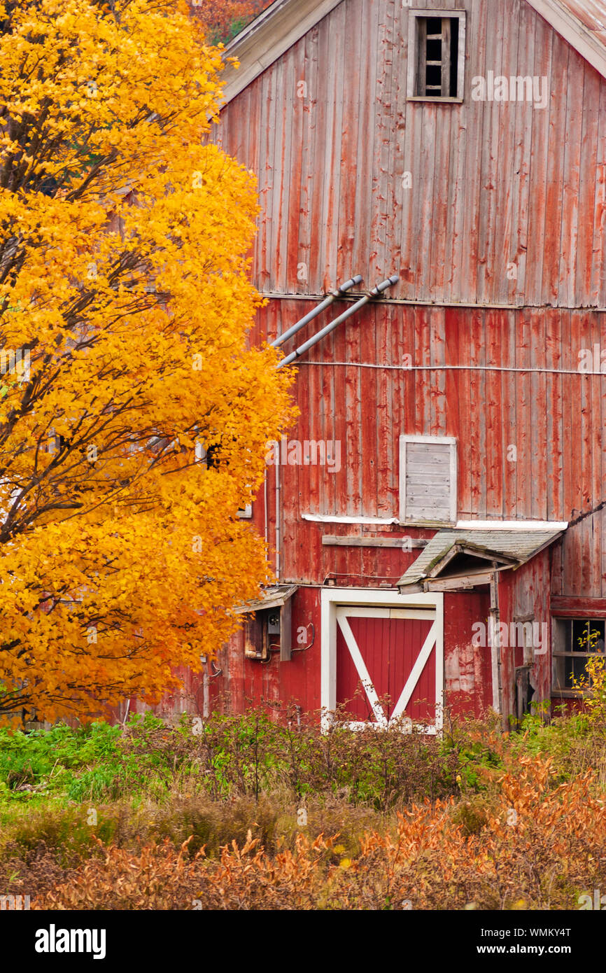 Old Falling Down Barn In High Resolution Stock Photography and Images ...