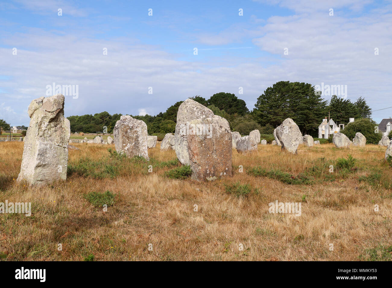 Alignements de Carnac, Alignements du Menec - rows of Menhirs ...