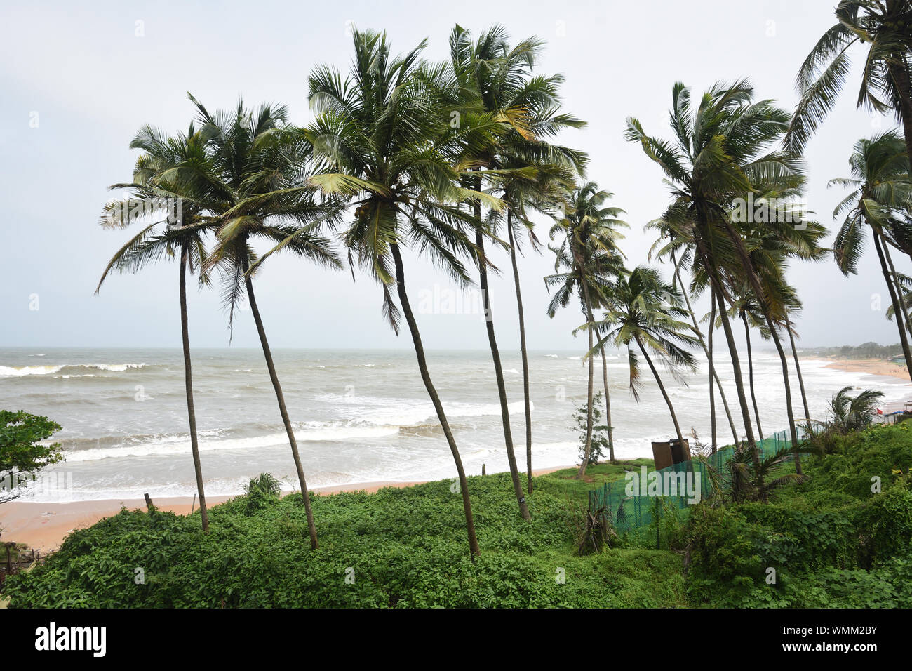 Sinquerim beach. Bardez, North Goa, India Stock Photo - Alamy