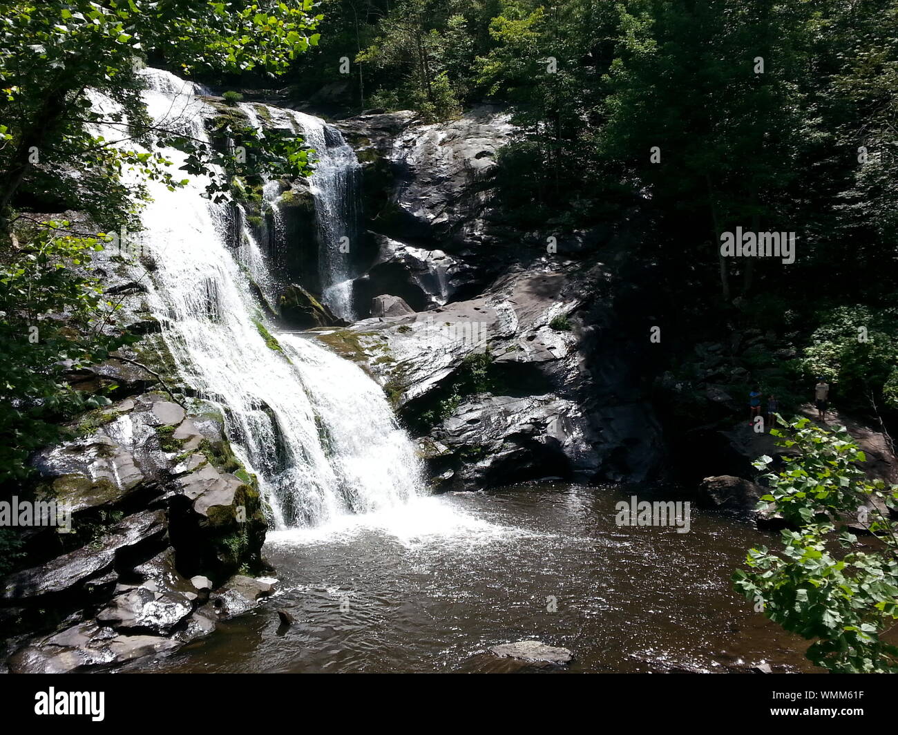 Cherokee national forest hi-res stock photography and images - Alamy