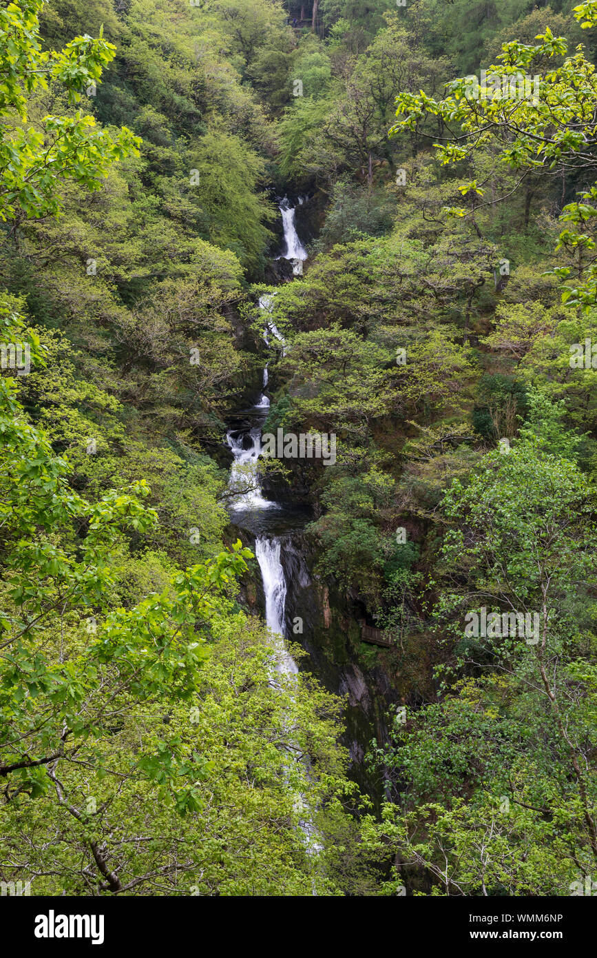 Devil's Bridge Falls, Wales. A well known tourist attraction near ...