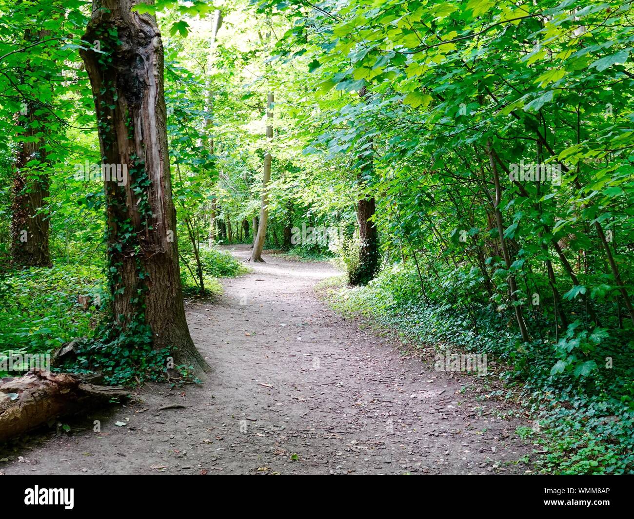 Peaceful countryside town near forest hi-res stock photography and ...