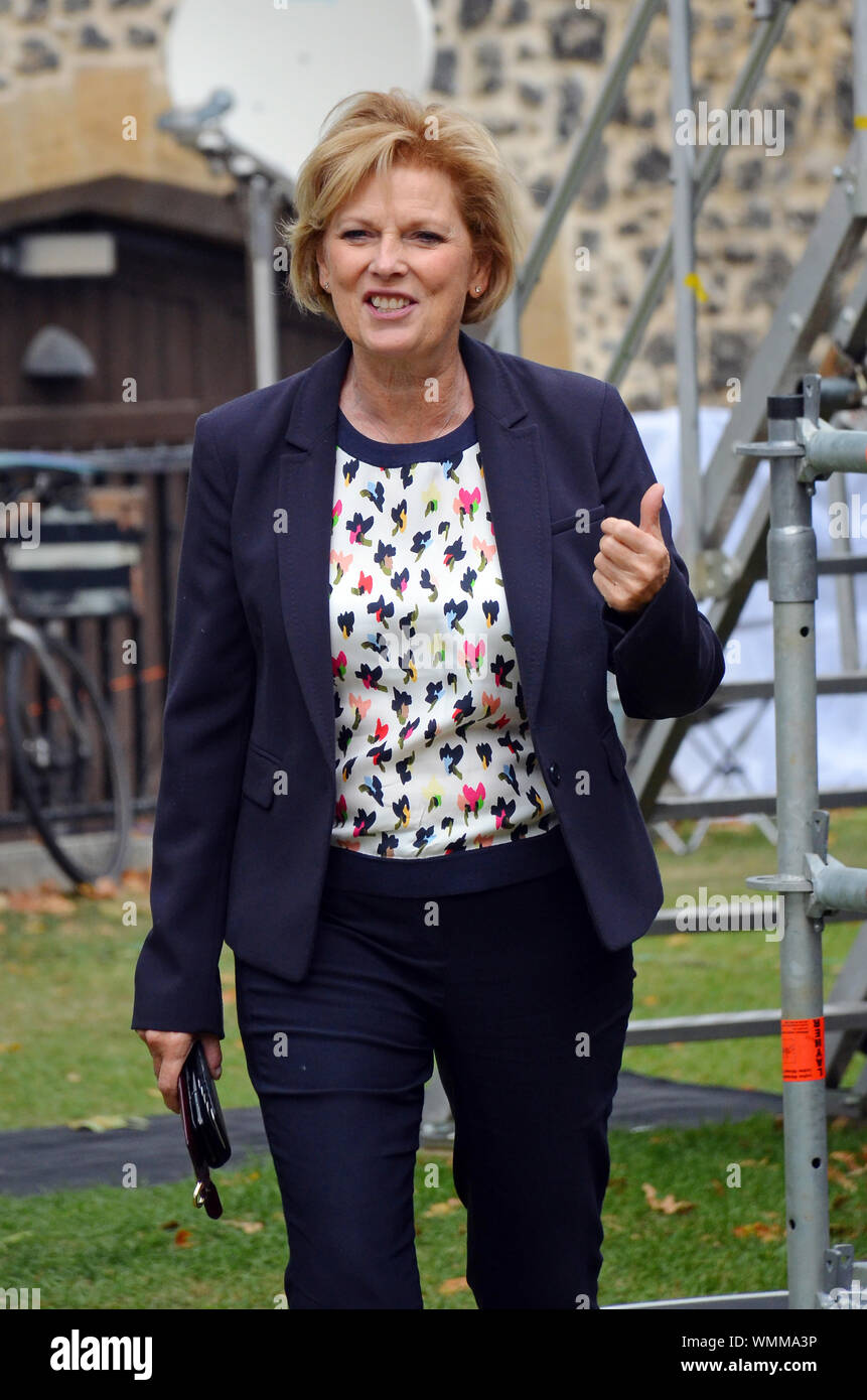 London, UK, 5 September 2019 - Anna Soubry MP on College Green outside ...