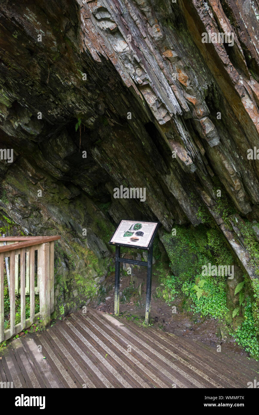 Devil's Bridge Falls, Wales. A well known tourist attraction near ...