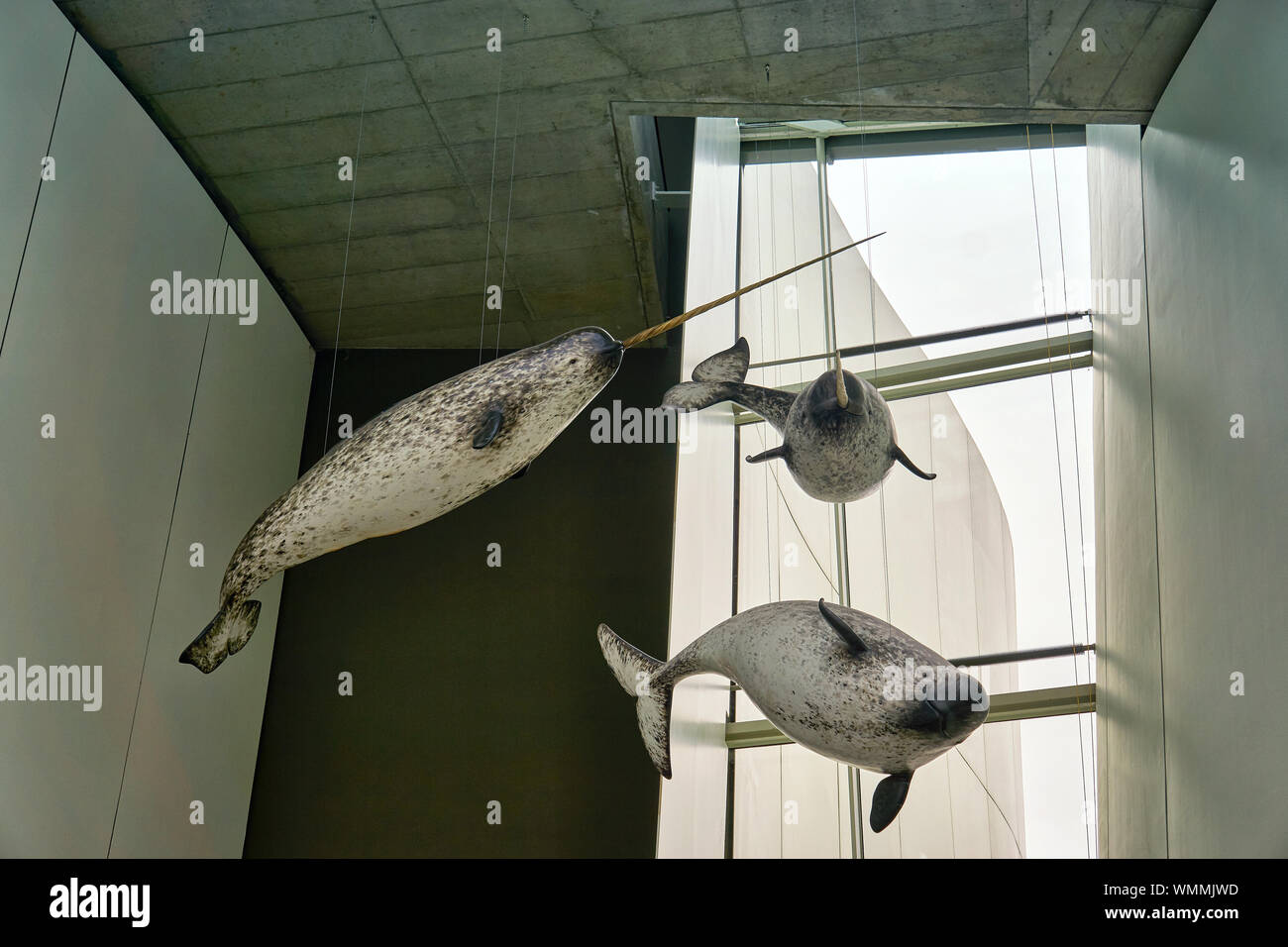 Fish exhibition hall hi-res stock photography and images - Alamy