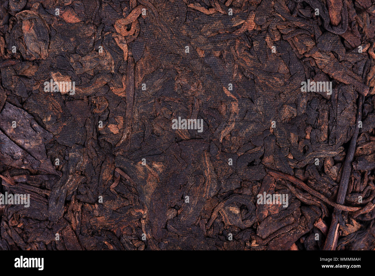 Chinese tea Shou Puer. Pressed fermented Pu-erh tea. Macro close up ...