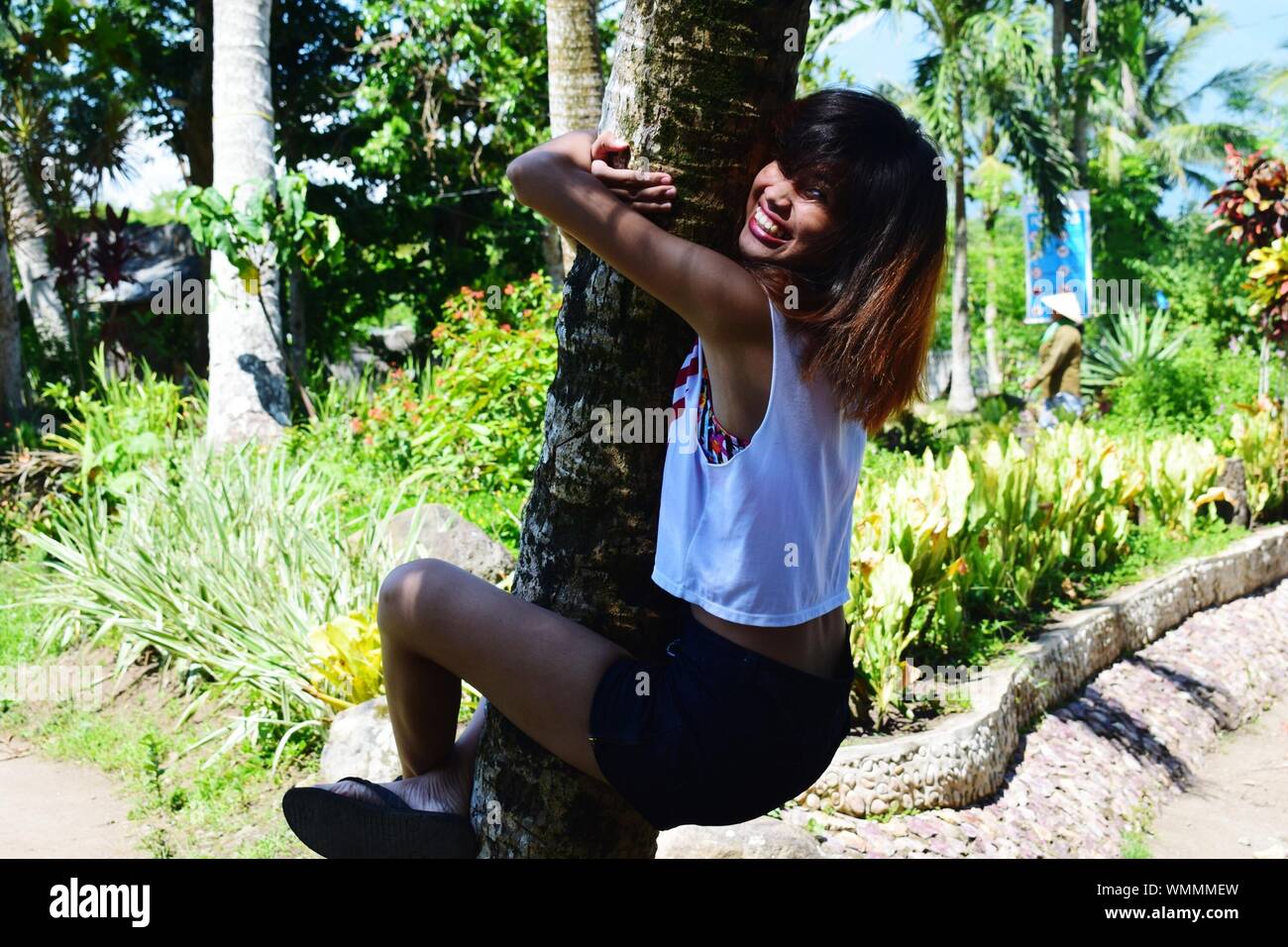 Woman climbing tree hi-res stock photography and images - Alamy
