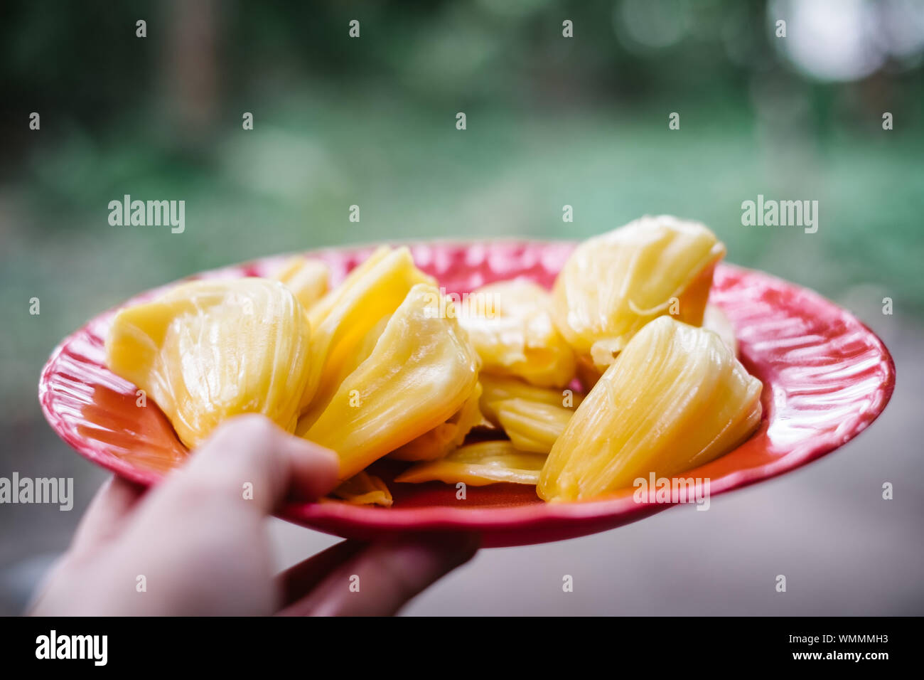 Person holding fruit hi-res stock photography and images - Alamy