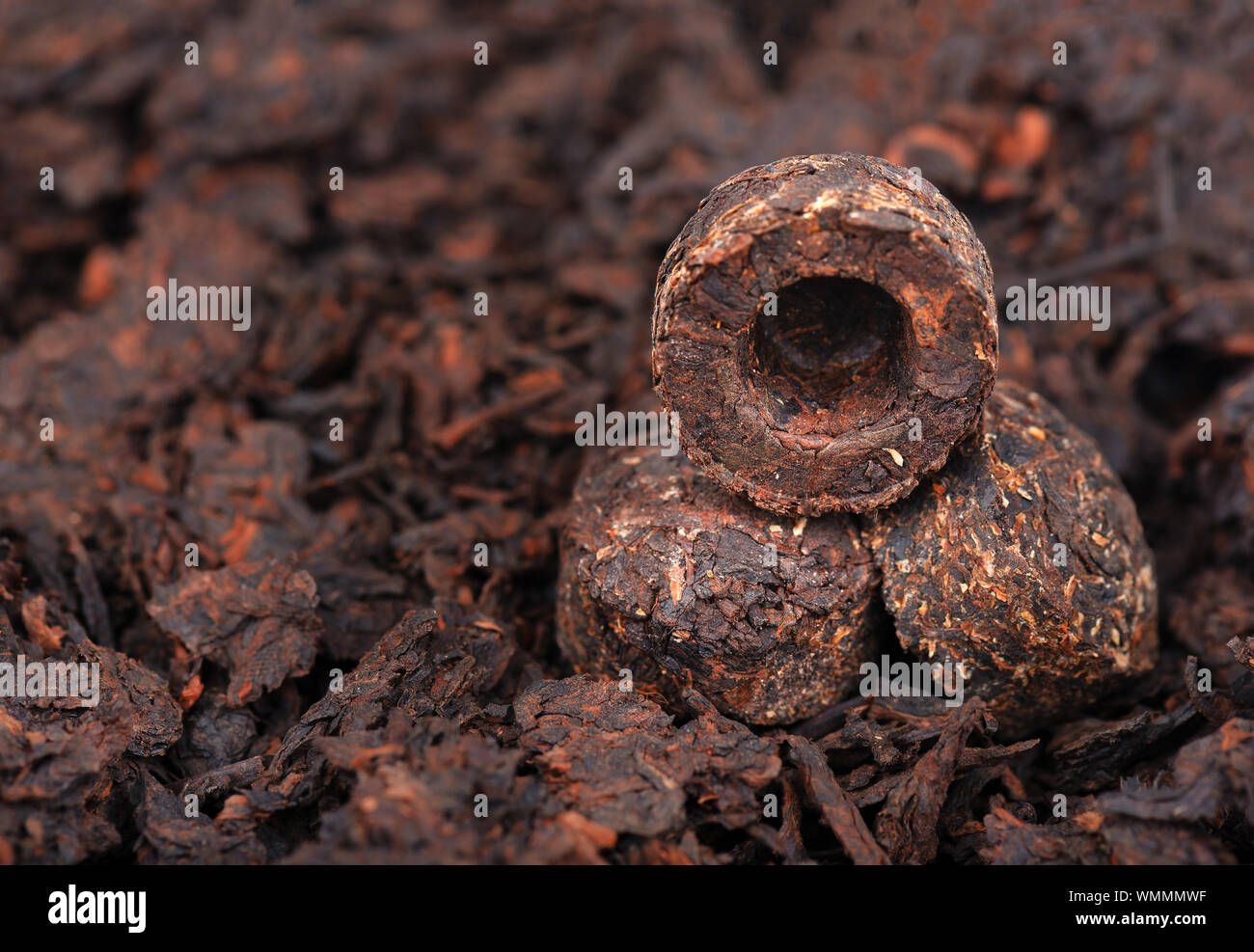 Aromatic black pu-erh tea. Fermented and compressed Leaves into bricks ...