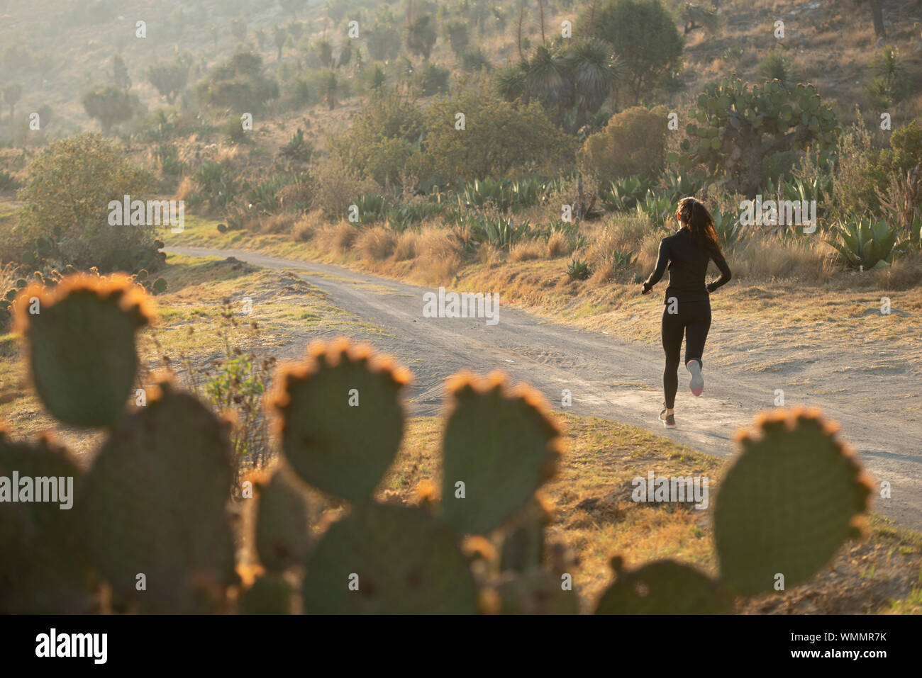 One runner hi-res stock photography and images - Alamy