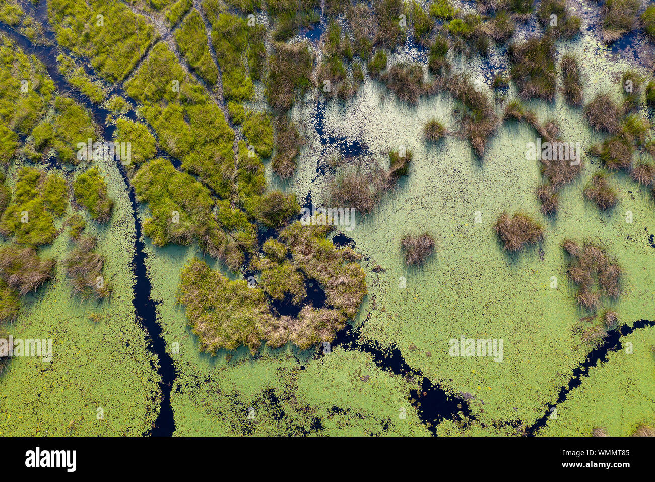 aerial view of a swamp of botswana Stock Photo - Alamy