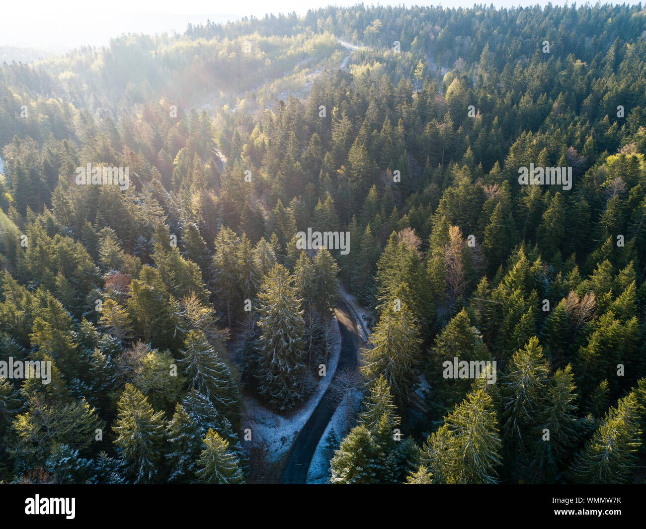 Winding bird hi-res stock photography and images - Alamy