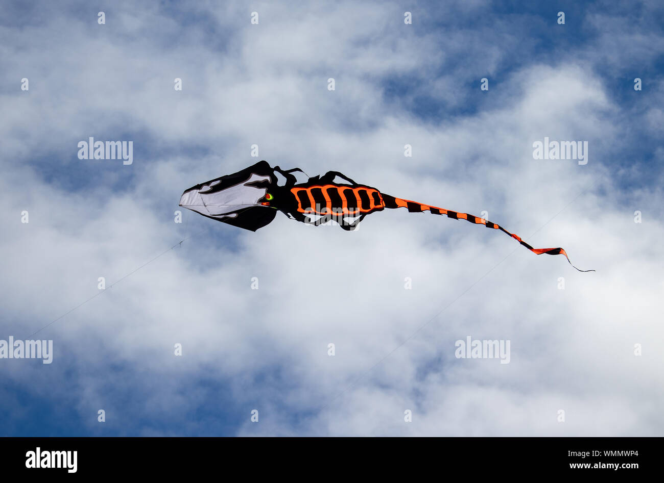 Orange flying insect hi-res stock photography and images - Alamy