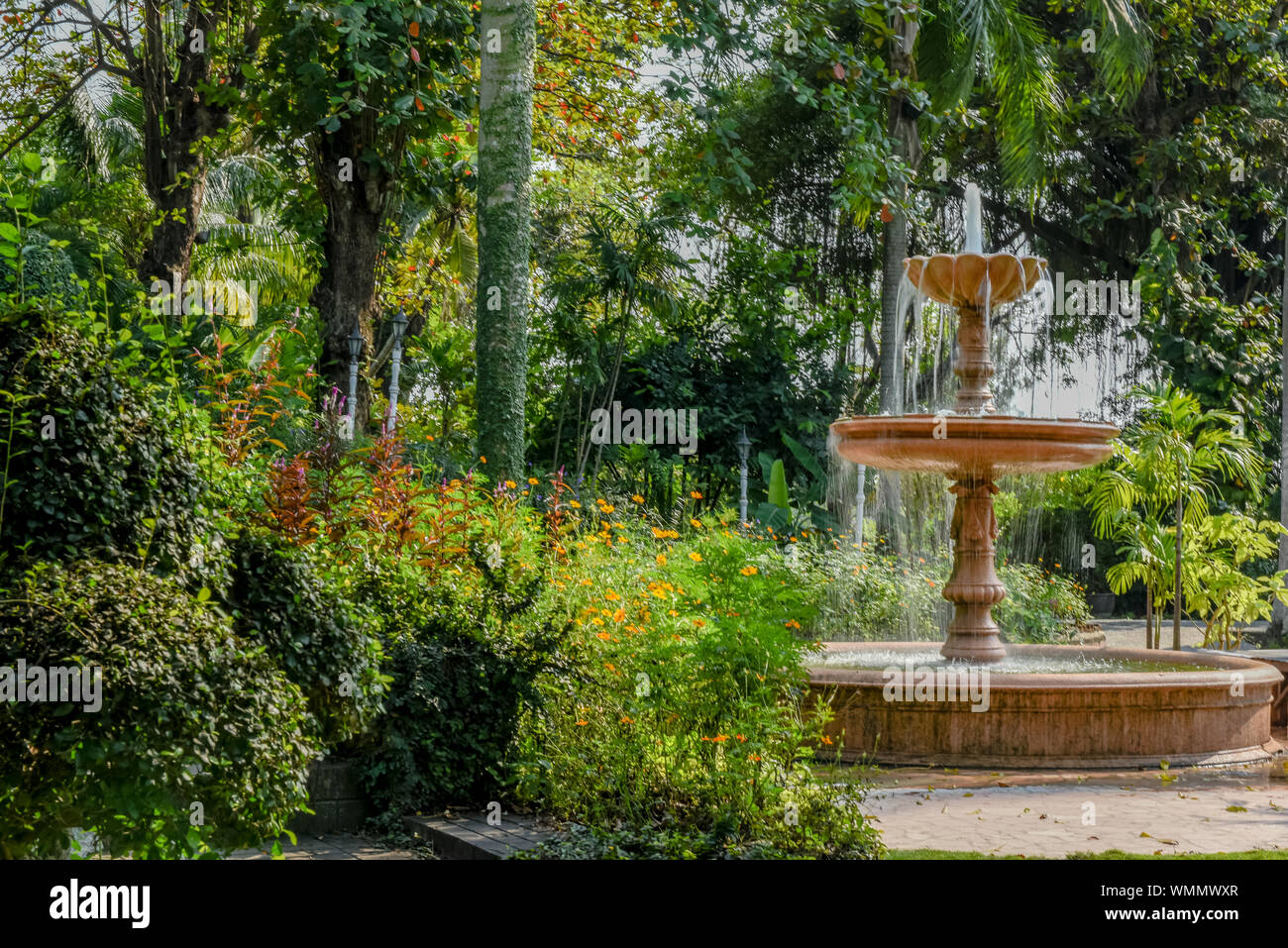 Fountain trees hi-res stock photography and images - Alamy