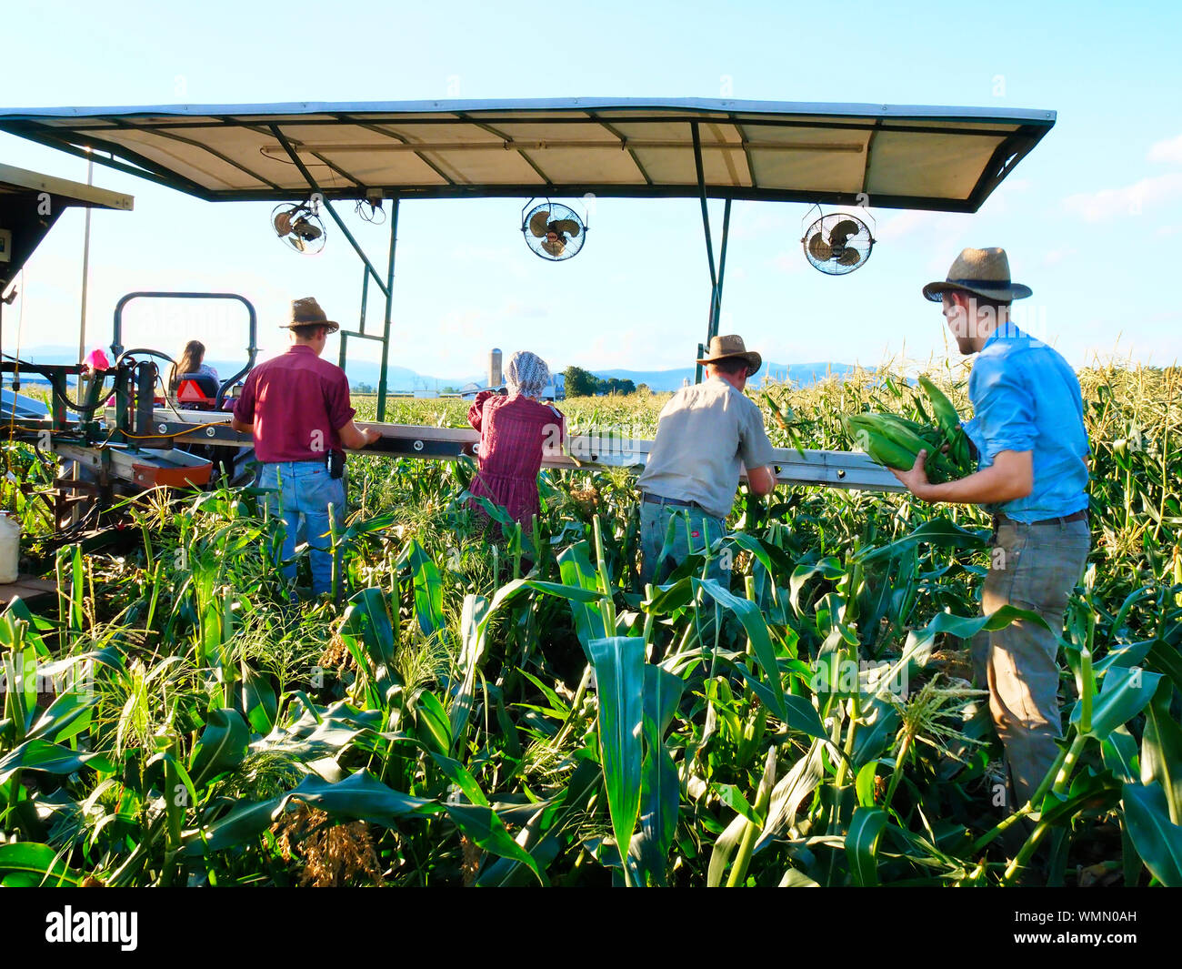 Dayton farms hi-res stock photography and images - Alamy