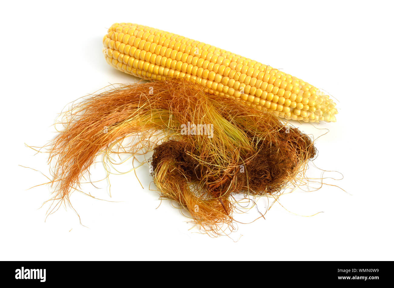 Corn or mature silk isolated on white background Stock Photo - Alamy
