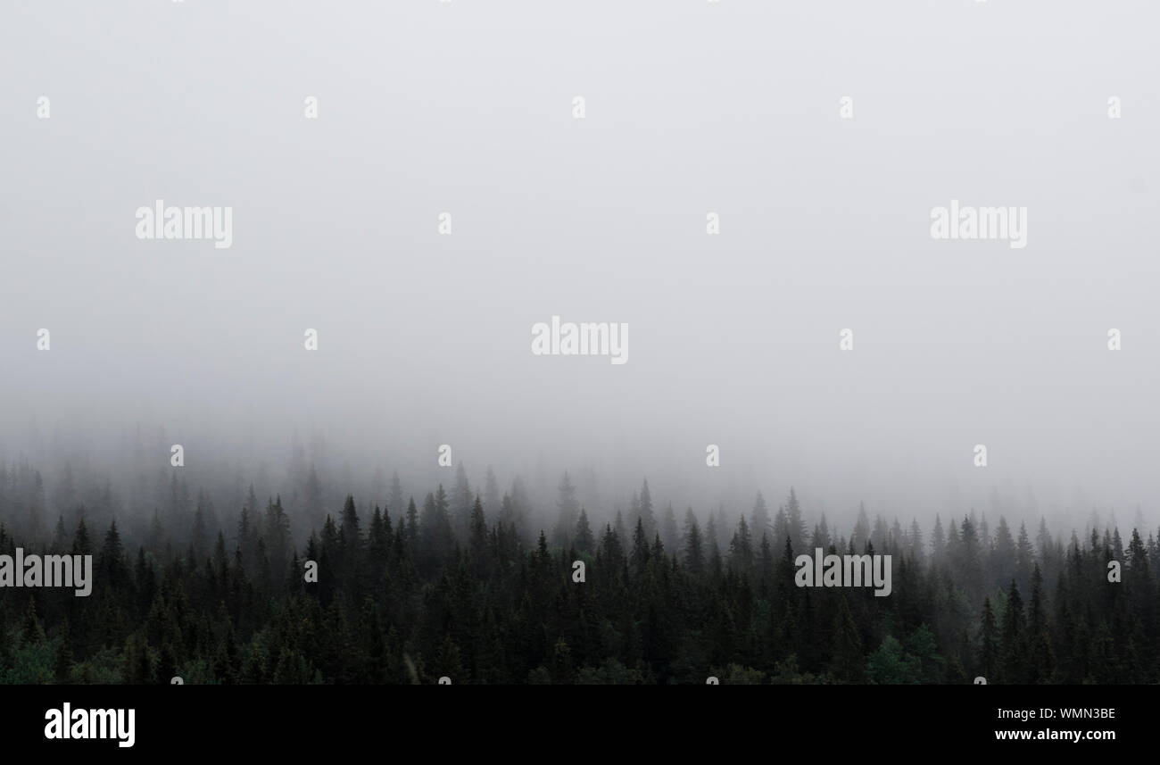 Fog line hi-res stock photography and images - Alamy